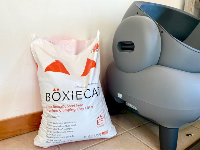 Boxie® Cat Litter Review 2026: An Expert’s Guide | Hepper Pet Resources