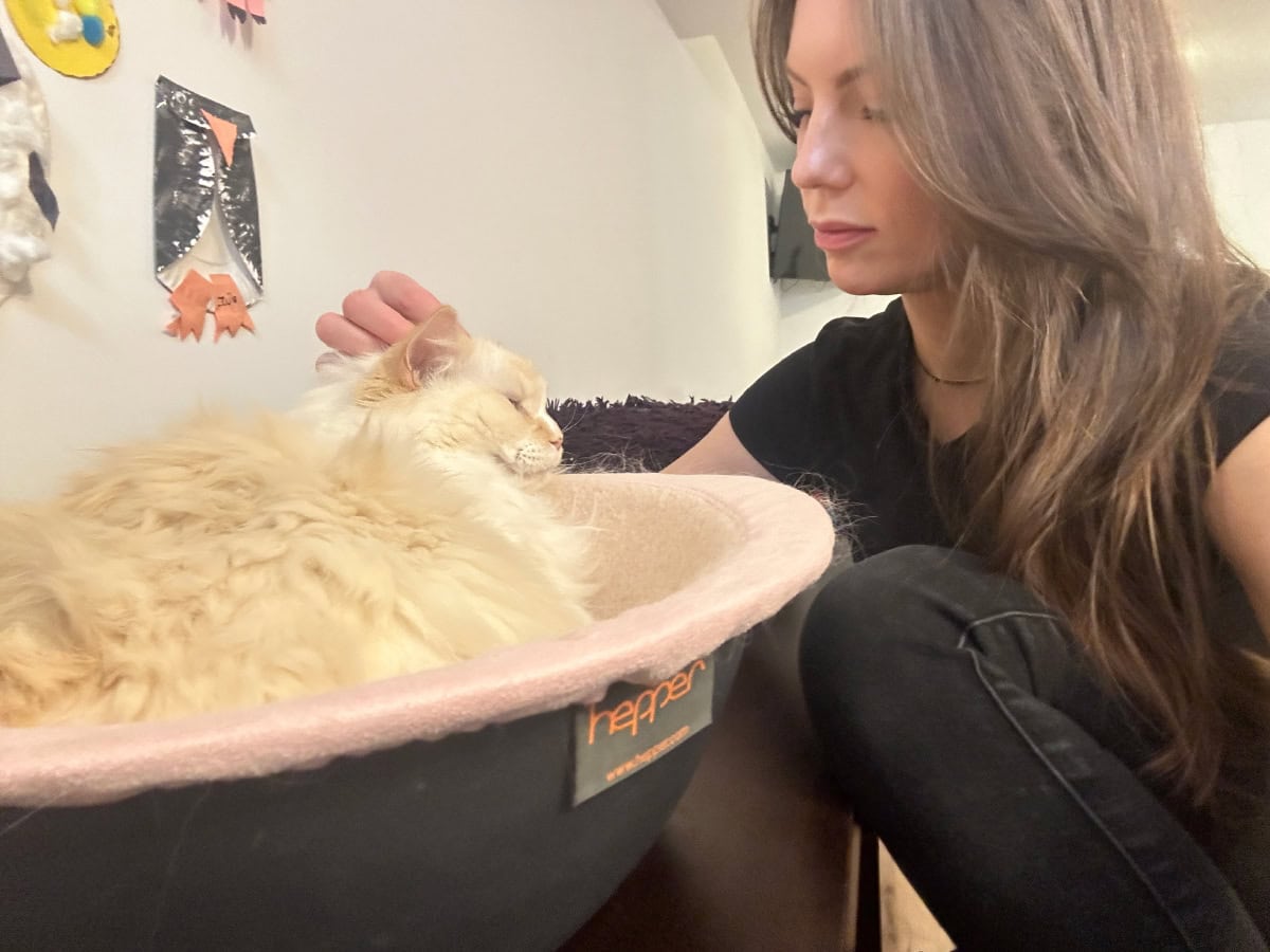 Celebrating Thanksgiving with My Pets, Blue & Subi | Hepper Pet Resources