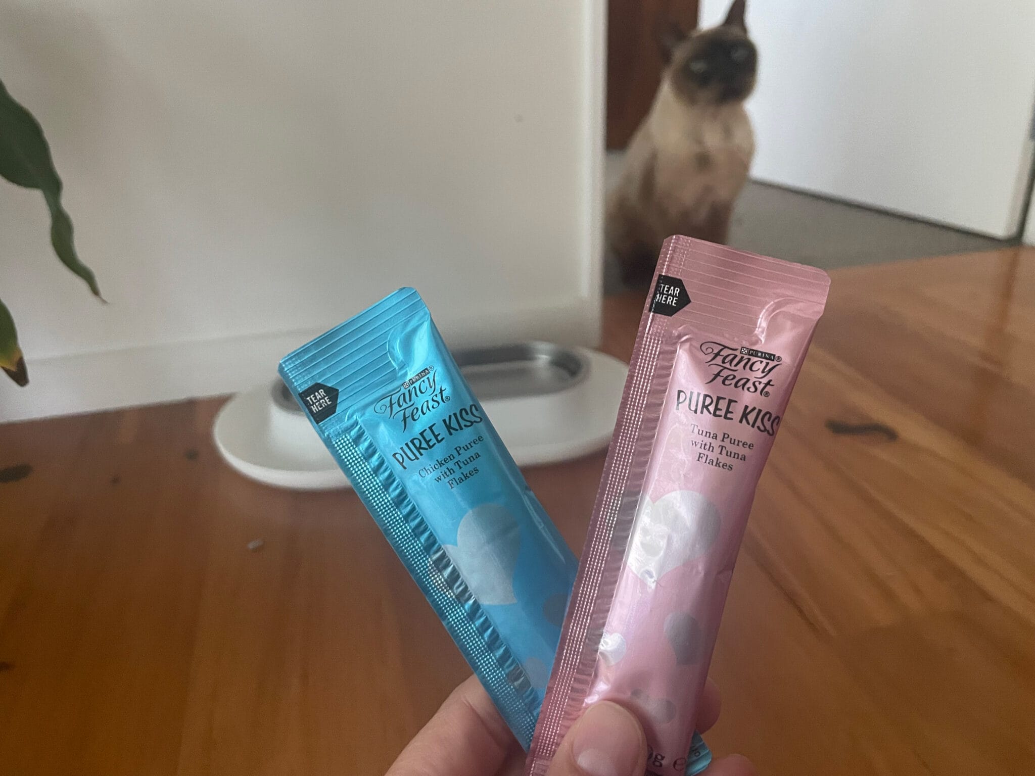 Baby Cat's New Favorite Treat: Fancy Feast Puree Kisses | Hepper Pet ...