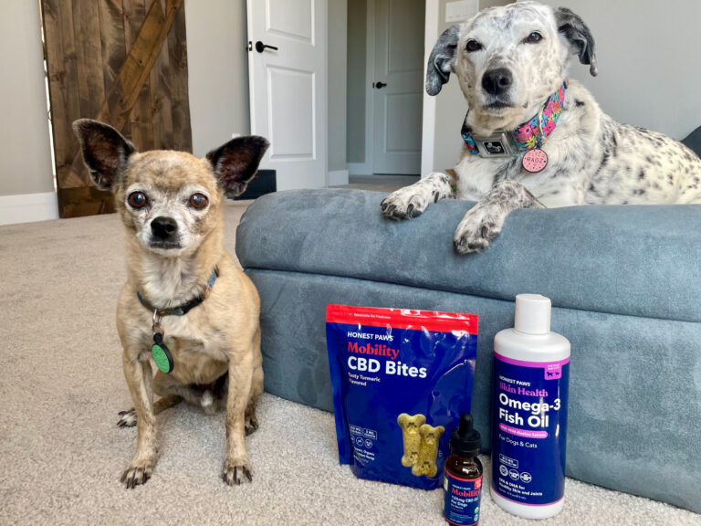 Honest Paws Review 2025: The Products I Tested & If I'd Recommend Them ...