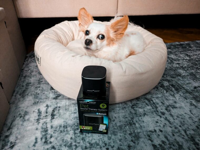 Sound Oasis Pet Sound Therapy System Review 2026: Soothing Anxious Pets ...