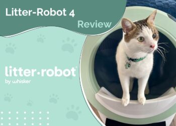 Litter-Robot 4 Review 2026: Style, Convenience & Our Final Verdict ...