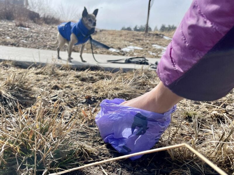 Finn Plant-Based Poop Bags Review 2025: An Earth-Friendly Way to Clean ...