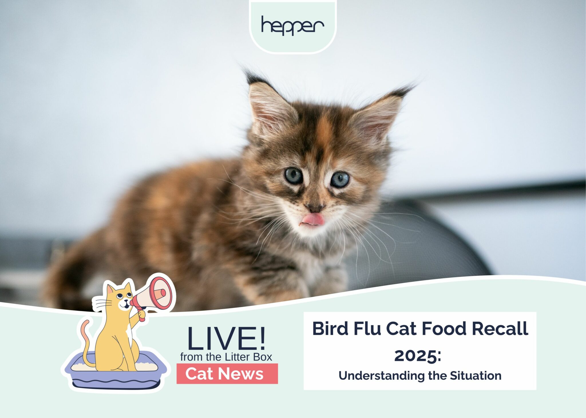 Live From the Litter Box: Bird Flu Cat Food Recall 2025 - Understanding ...