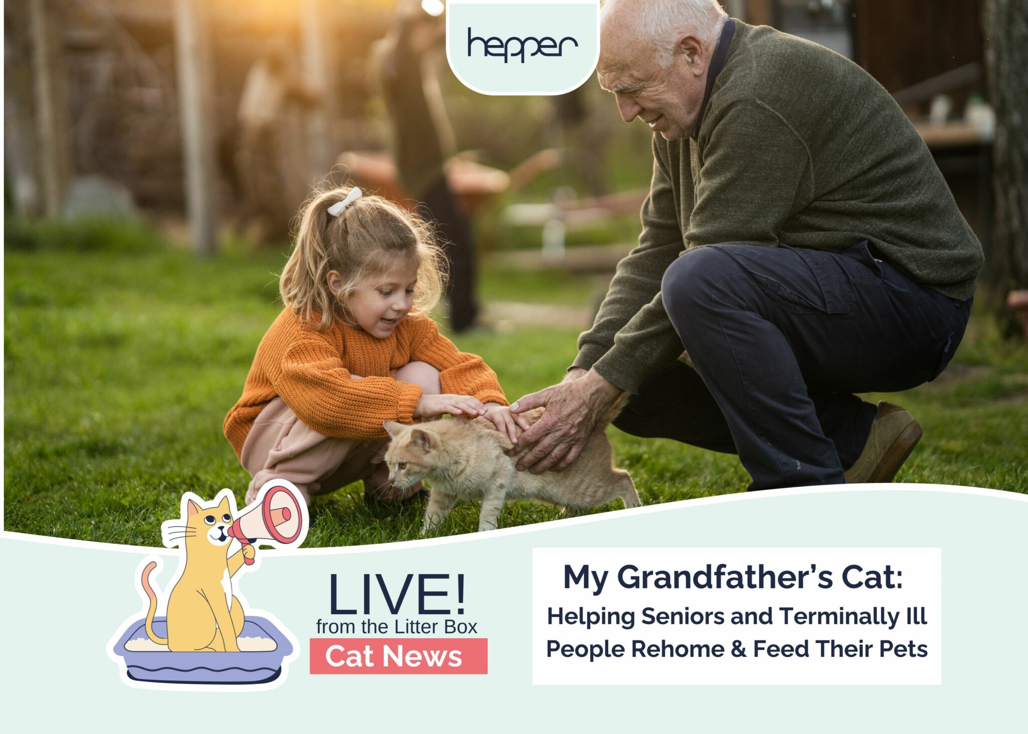 Live From the Litter Box: My Grandfather's Cat - Helping Seniors and ...
