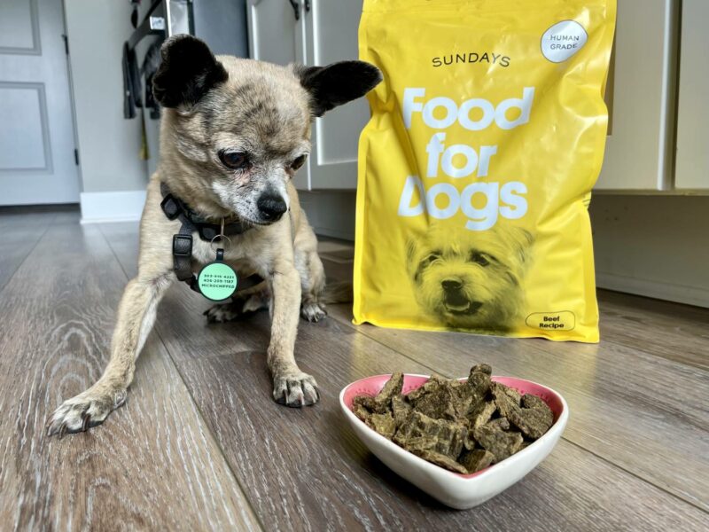 Sundays for Dogs Dog Food Beef Recipe Review 2026: A Human-Grade Option ...