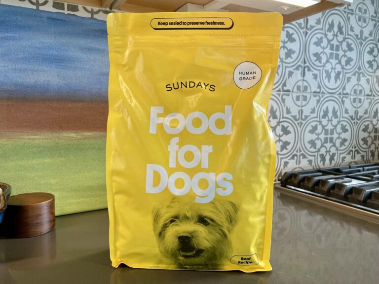 Sundays for Dogs Dog Food Beef Recipe Review 2026: A Human-Grade Option ...