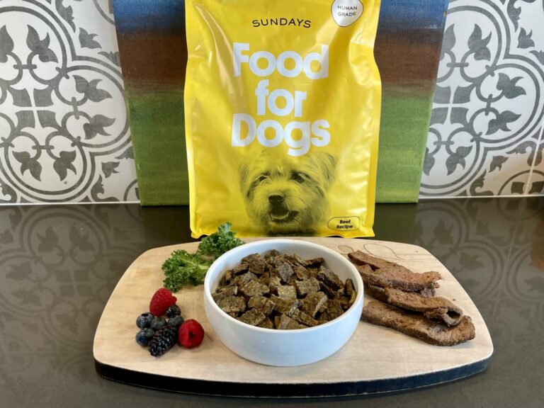 Sundays for Dogs Dog Food Beef Recipe Review 2026: A Human-Grade Option ...
