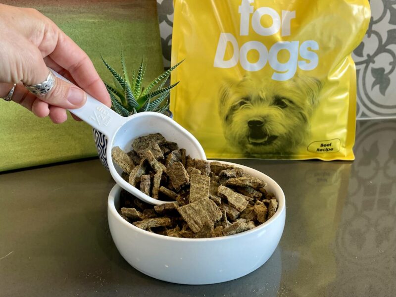 Sundays for Dogs Dog Food Beef Recipe Review 2026: A Human-Grade Option ...