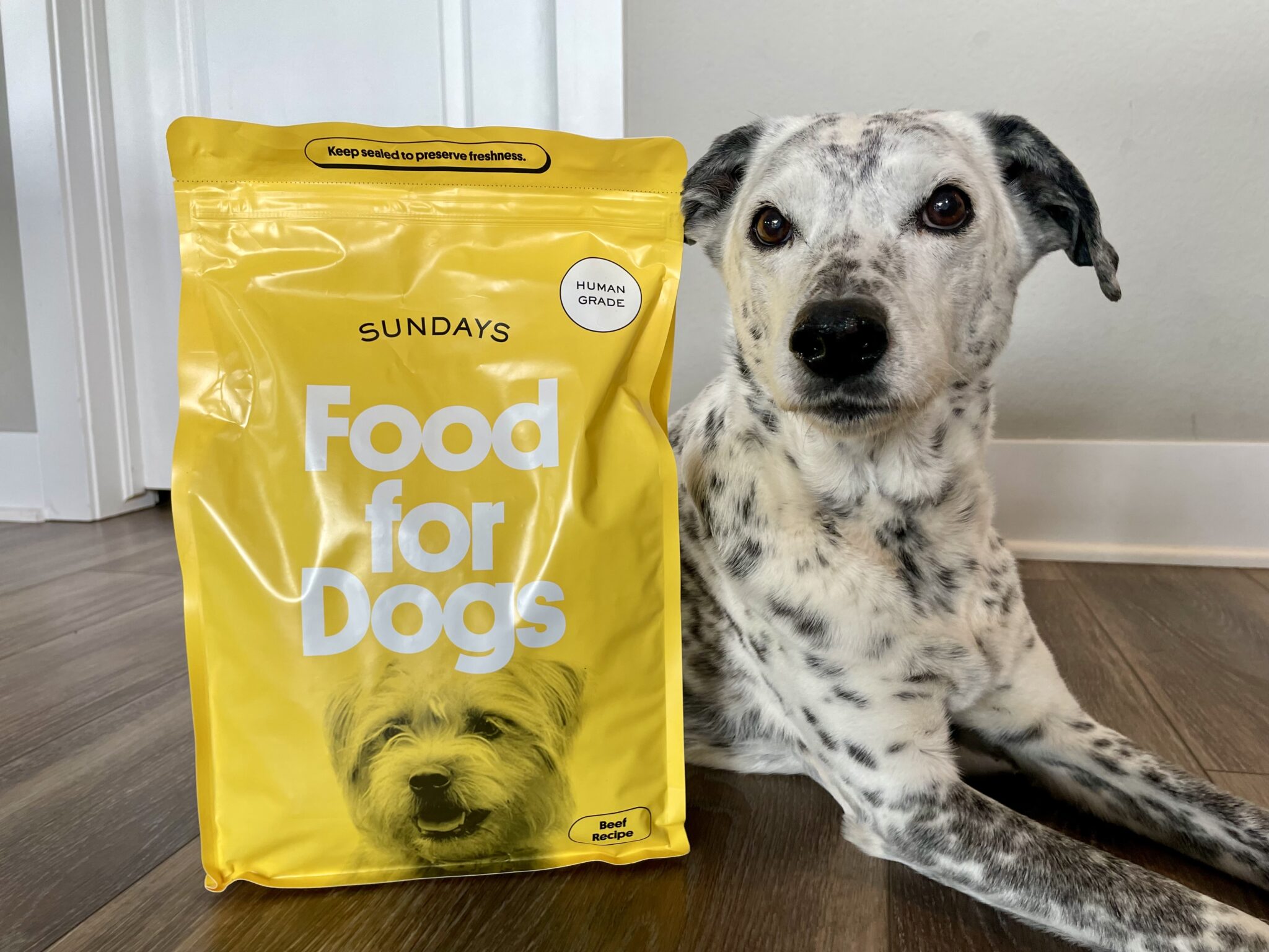 Sundays for Dogs Dog Food Beef Recipe Review 2026: A Human-Grade Option ...