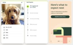 Ancestry Know Your Pet DNA Review 2026: Decoding Your Furry Friend’s ...
