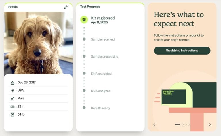 Ancestry Know Your Pet DNA Review 2026: Decoding Your Furry Friend’s ...
