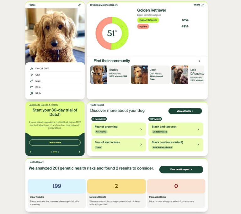 Ancestry Know Your Pet DNA Review 2026: Decoding Your Furry Friend’s ...
