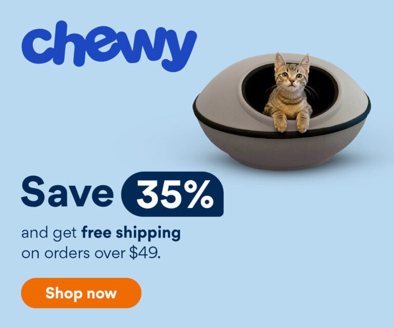 What Is Cat Litter Made Of Vet Reviewed Interesting Facts Hepper Pet What Is Cat Litter Made Of Vet Reviewed Interesting Facts Hepper Pet